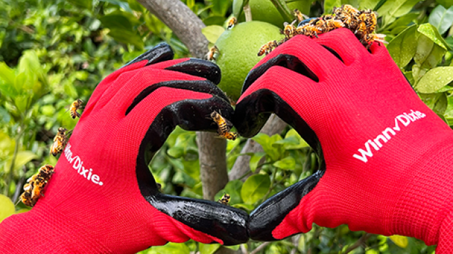 Southeastern Grocers Marks National Pollinator Week | Progressive Grocer Southeastern Grocers Marks National Pollinator Week | Progressive Grocer